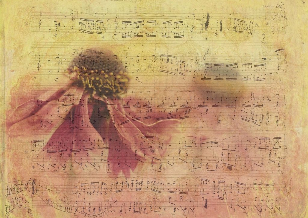 CD Label Makers | Music Opulence